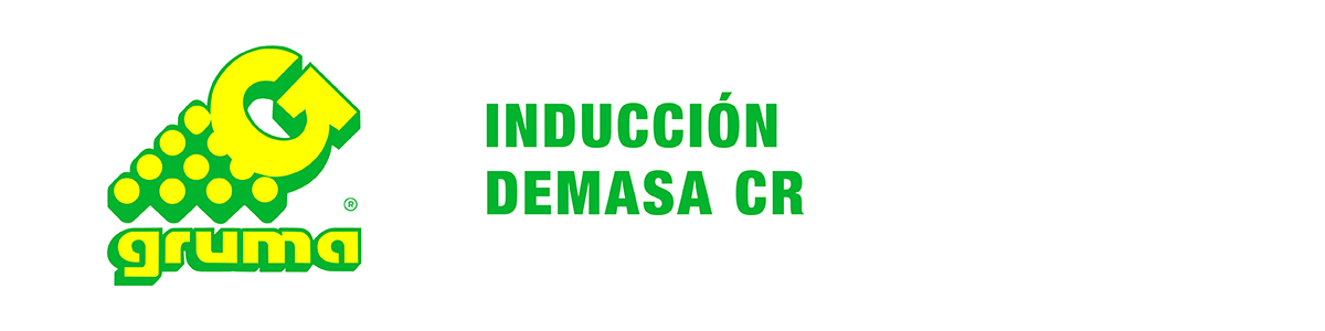 Curso Inducción DEMASA CEFOTEC
